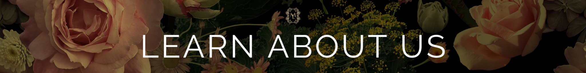 About Us - Matthew Landers