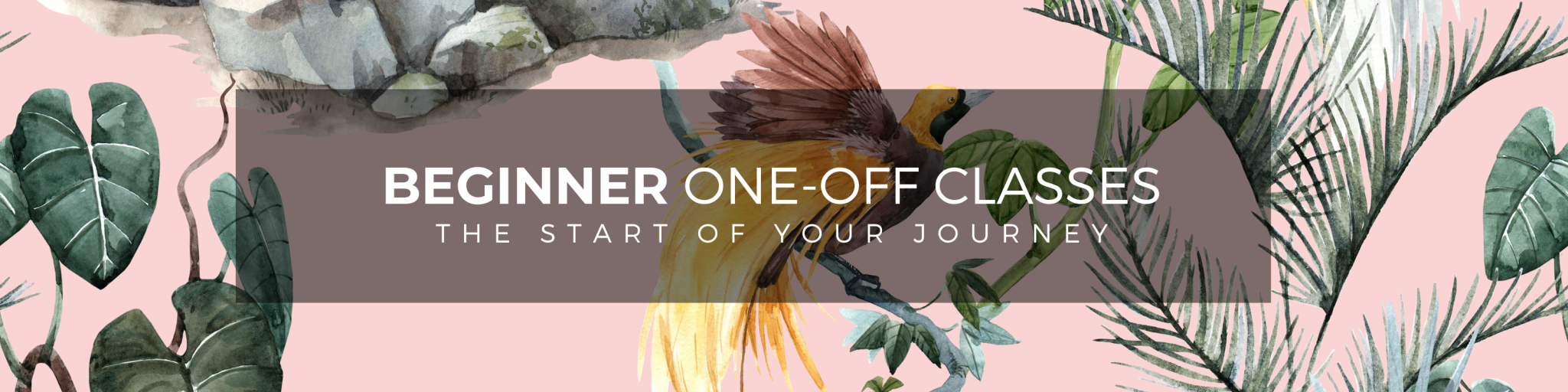 Academy - Matthew Landers