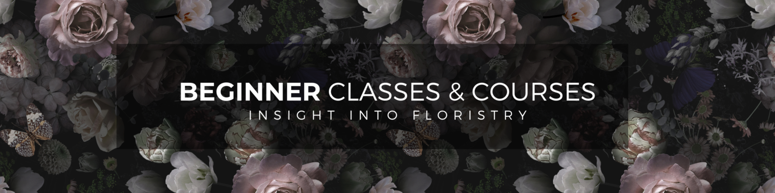 Academy - Matthew Landers