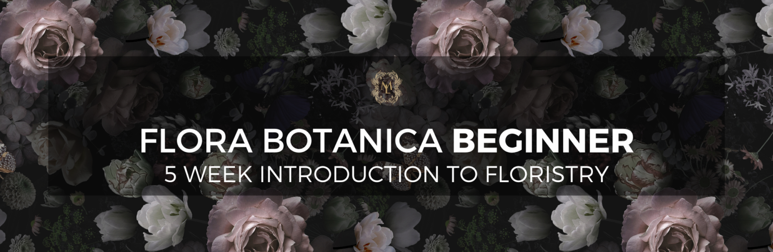 Academy - Matthew Landers