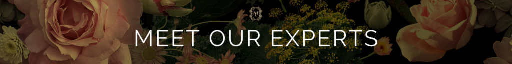 Our Lecturers - Matthew Landers