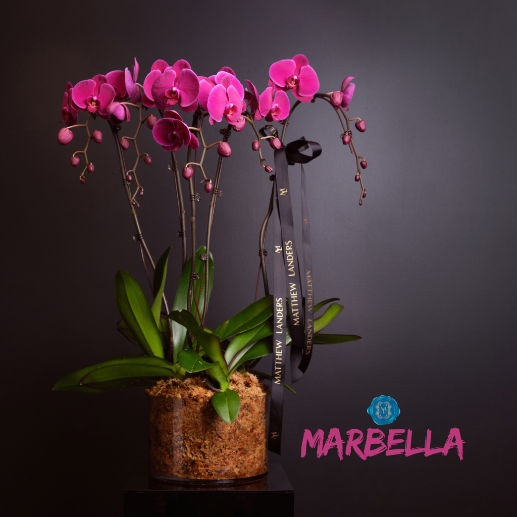 Order Flowers - Matthew Landers